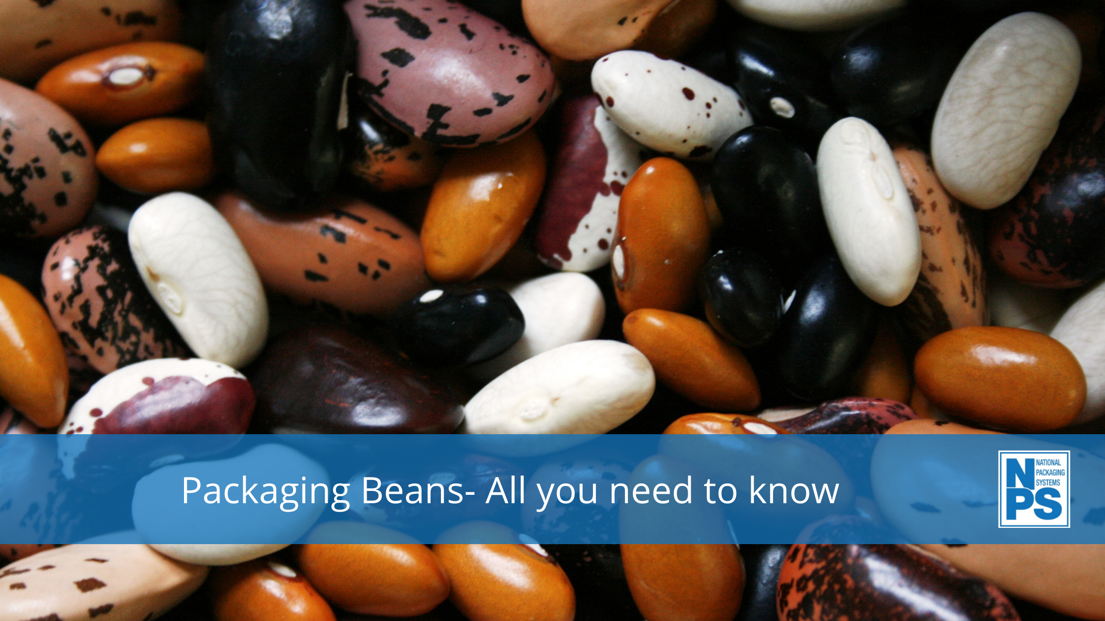 Packaging Beans - All you need to know | NPS